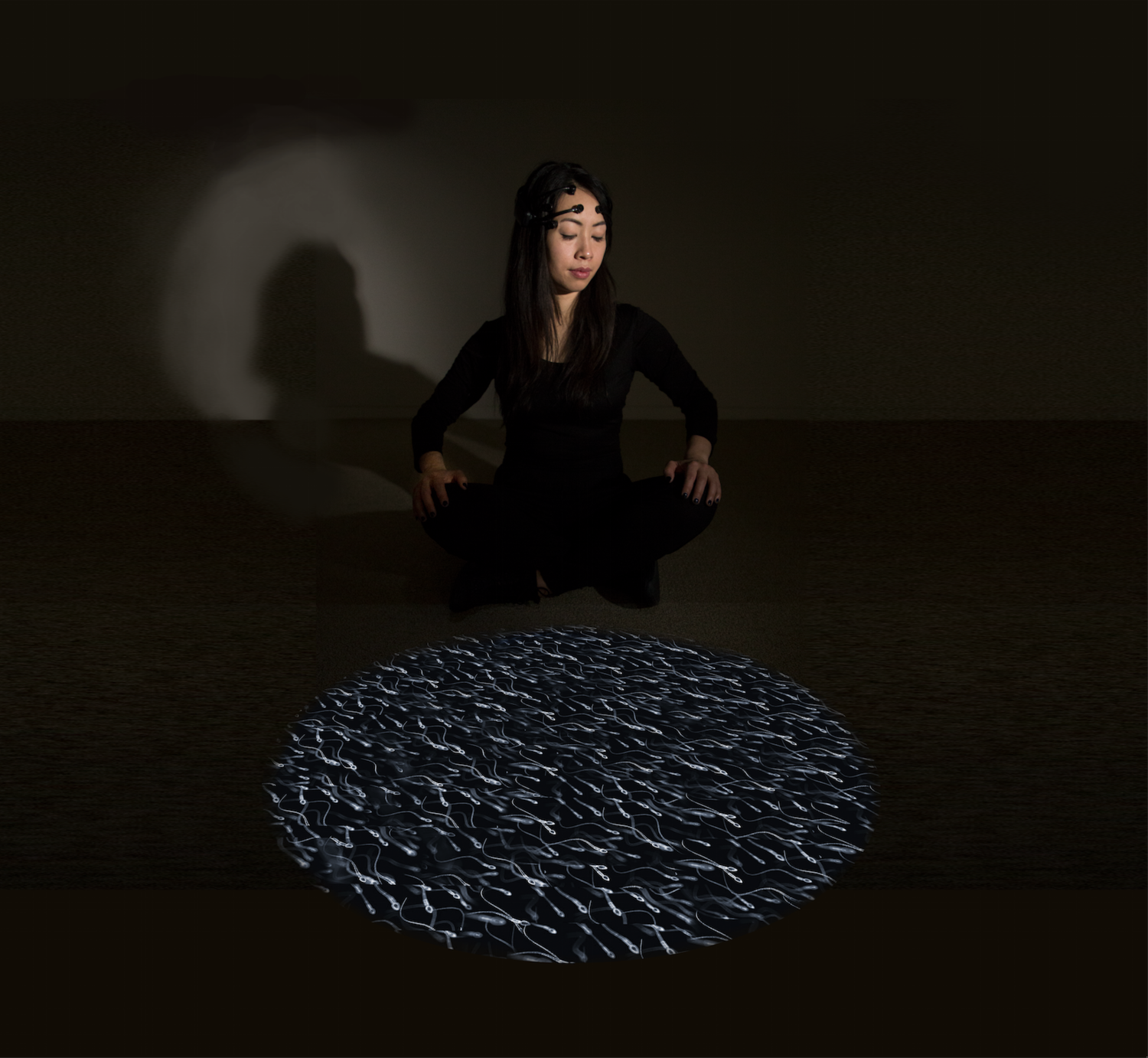 2017 Winners of the Schnitzer Prize in the Visual Arts - Arts at MIT