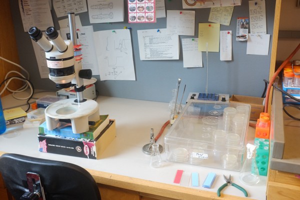 Studio/Lab: Horvitz Laboratory - Arts at MIT