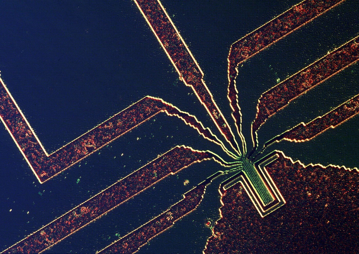 Felice Frankel: Picturing Science - Arts at MIT