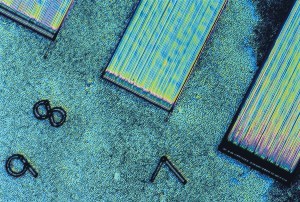 Felice Frankel: Picturing Science - Arts at MIT