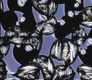 Felice Frankel: Picturing Science - Arts at MIT