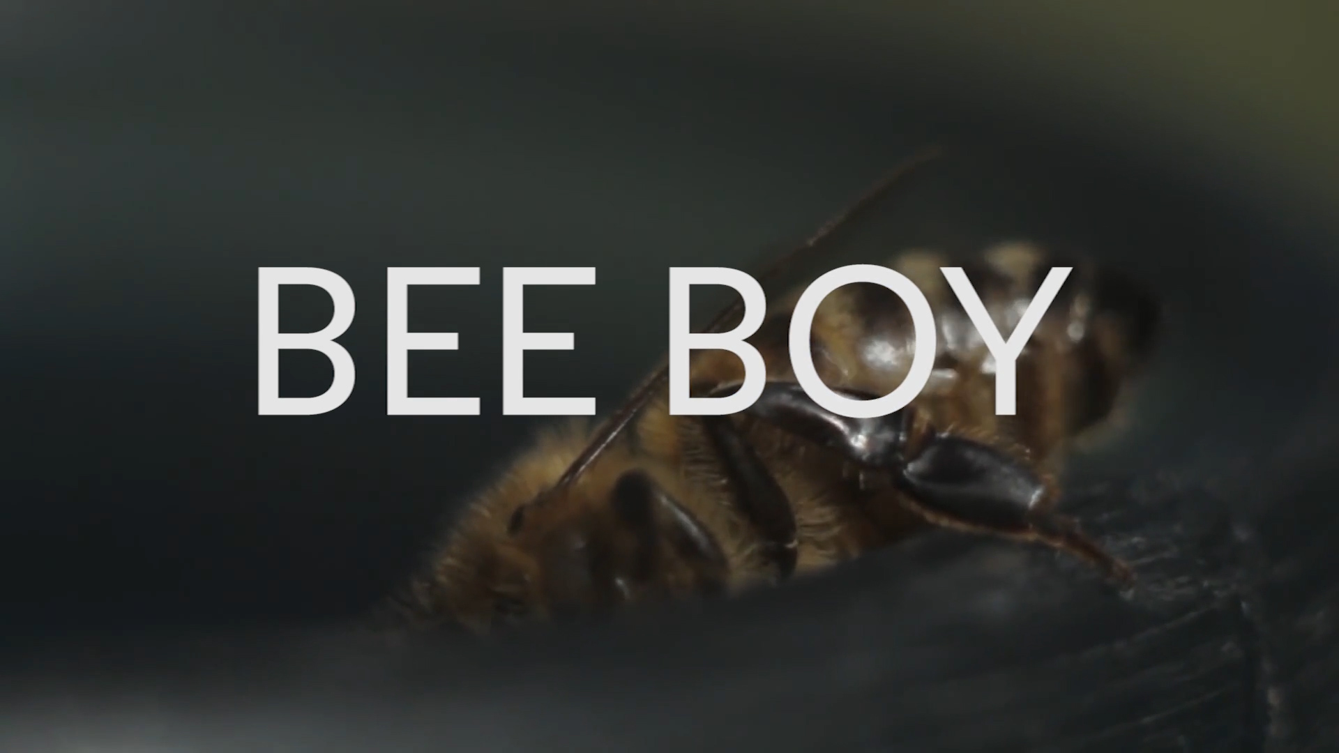 Charlotte Brathwaite's Bee Boy - Arts at MIT