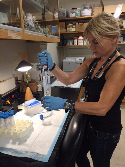 MIT Center for Art, Science & Technology Visiting Artist - Diemut Strebe