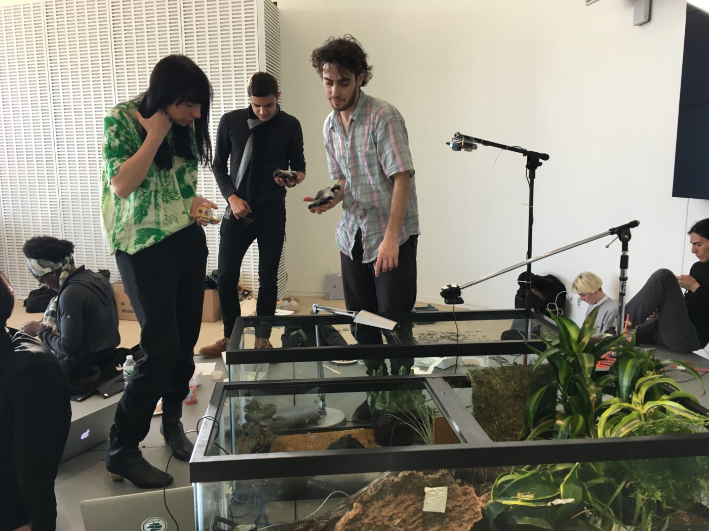 Behind the Artwork: Adam Haar Horowitz on The Animal Internet - Arts at MIT