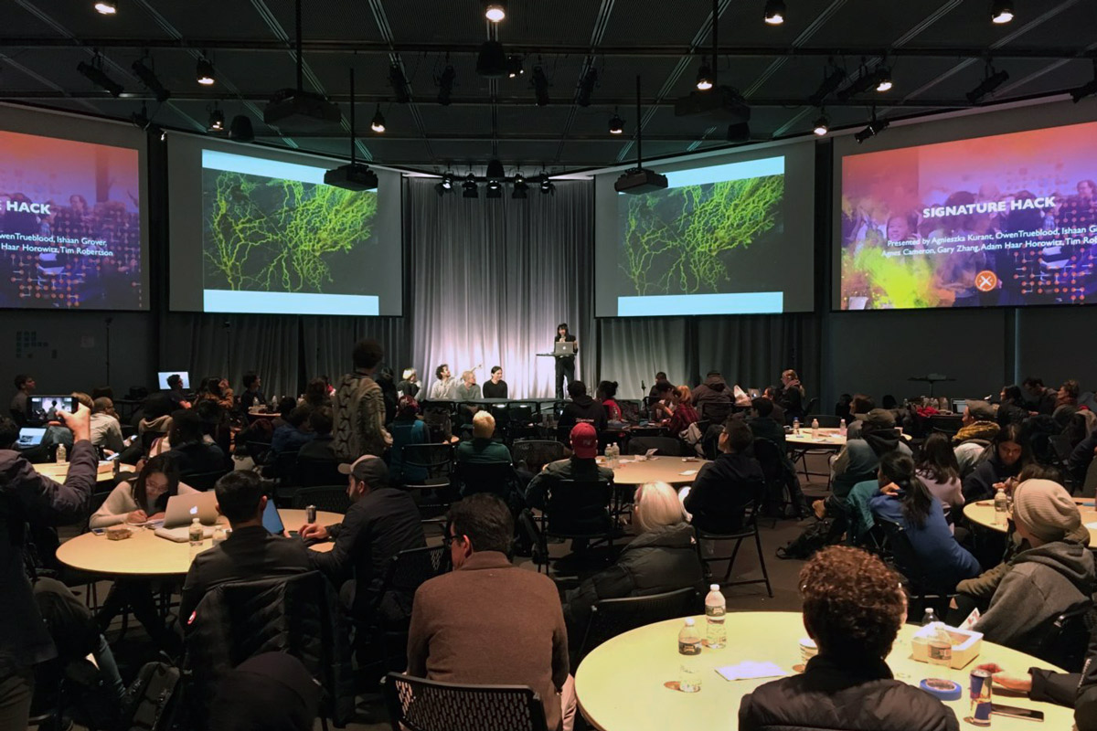 Behind the Artwork: Adam Haar Horowitz on The Animal Internet - Arts at MIT