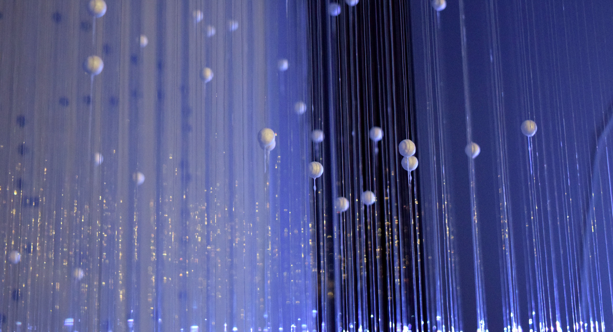 CAST Faculty Grant Recipient Pawan Sinha's Vision in Art & Neuroscience