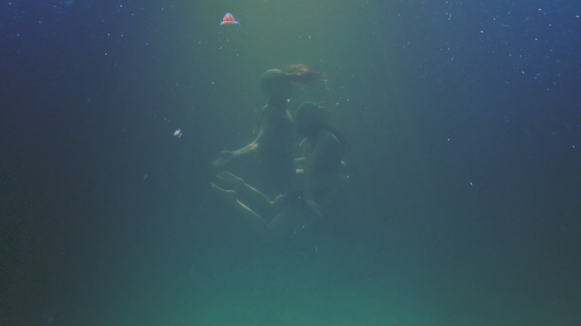 Toward A Transhumanist Future: Miriam Simun Media Lab '18