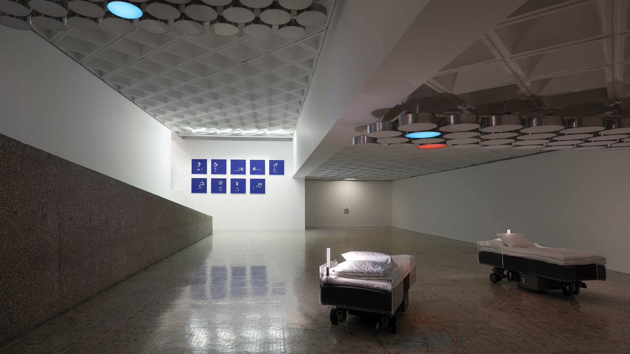 MIT Center for Art, Science & Technology Visiting Artist - Carsten Höller