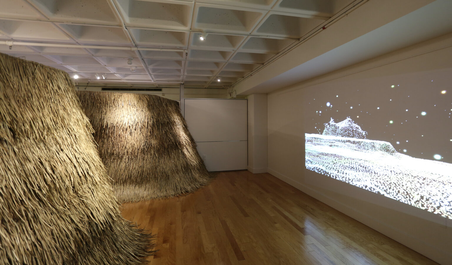Architecture Isn’t Just for Humans Anymore - Arts at MIT