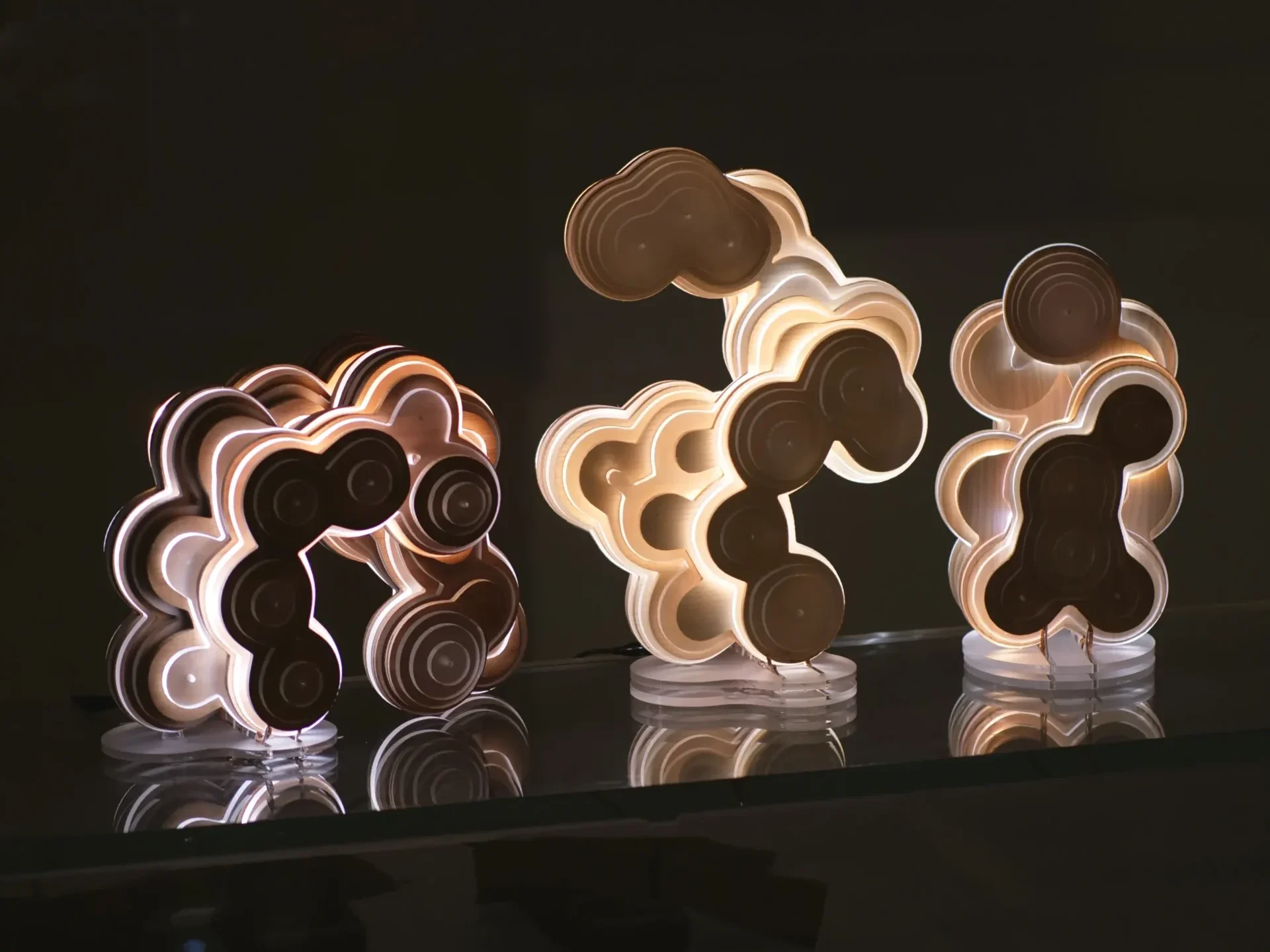 2024 Harold and Arlene Schnitzer Prize in the Visual Arts Exhibition