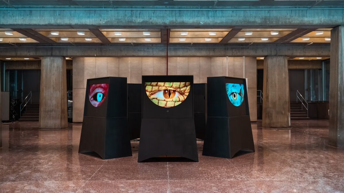 The 2025 Harold and Arlene Schnitzer Prize in the Visual Arts