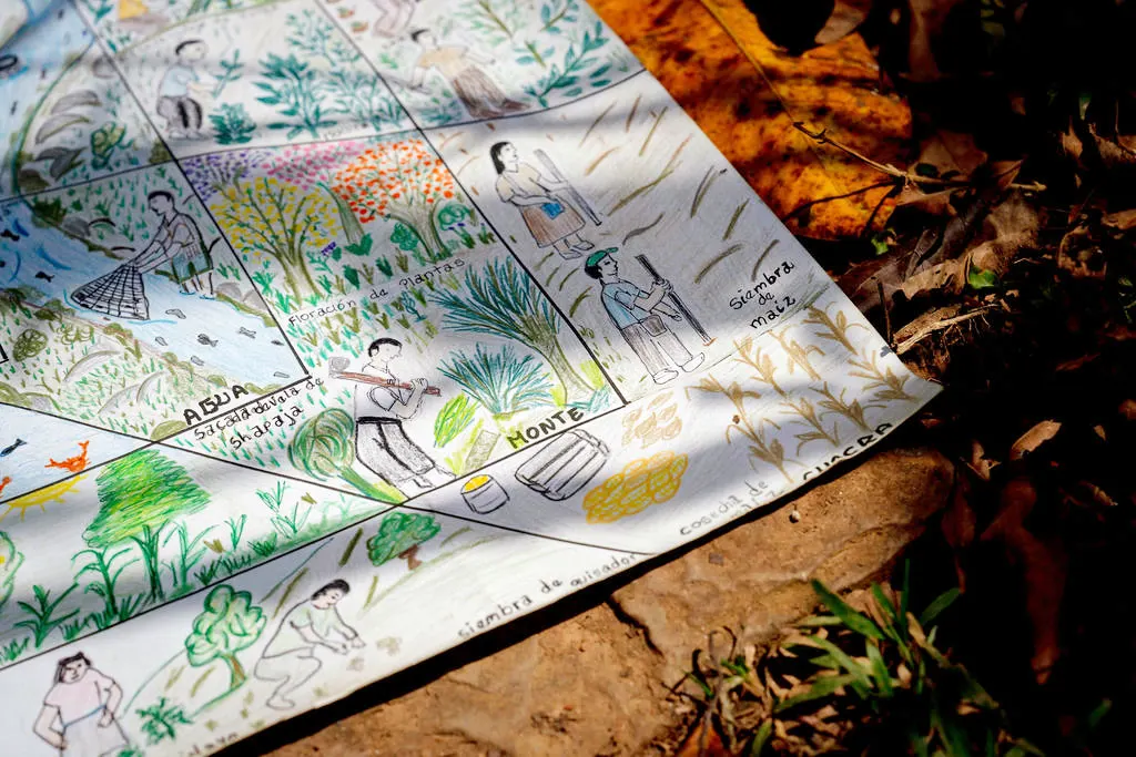 Amazonian Calendars: Indigenous Data Visualizations - Arts at MIT